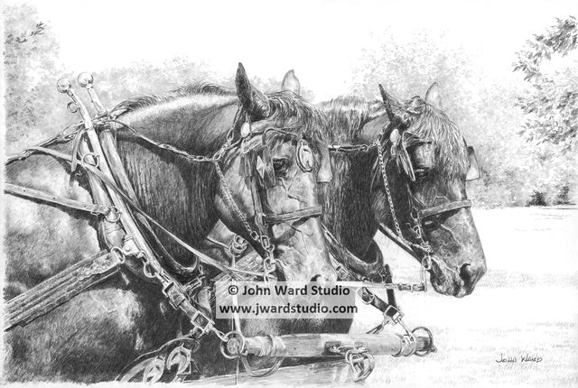 draft horse creator
